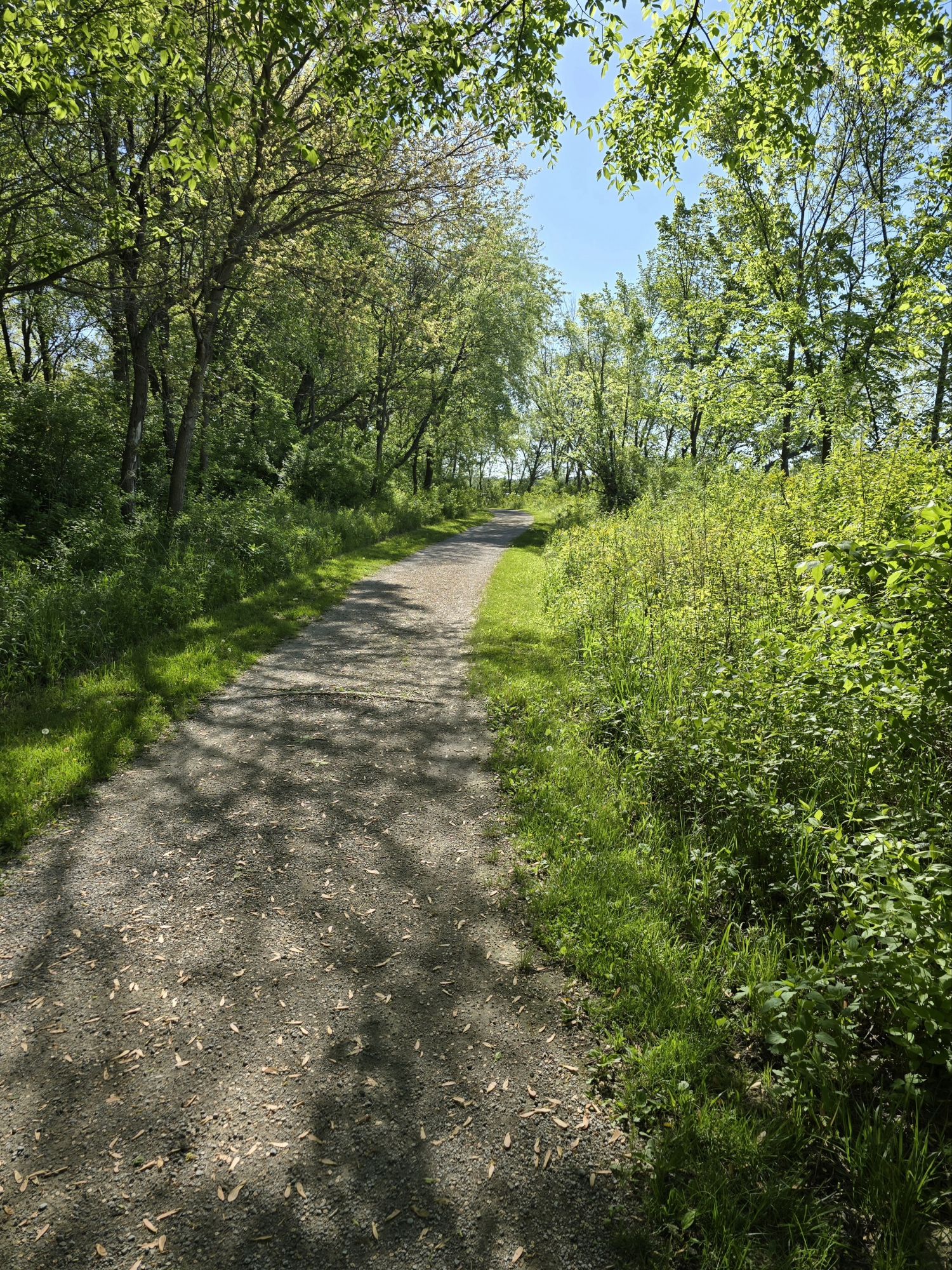 Going for a Walk – Journey Home
